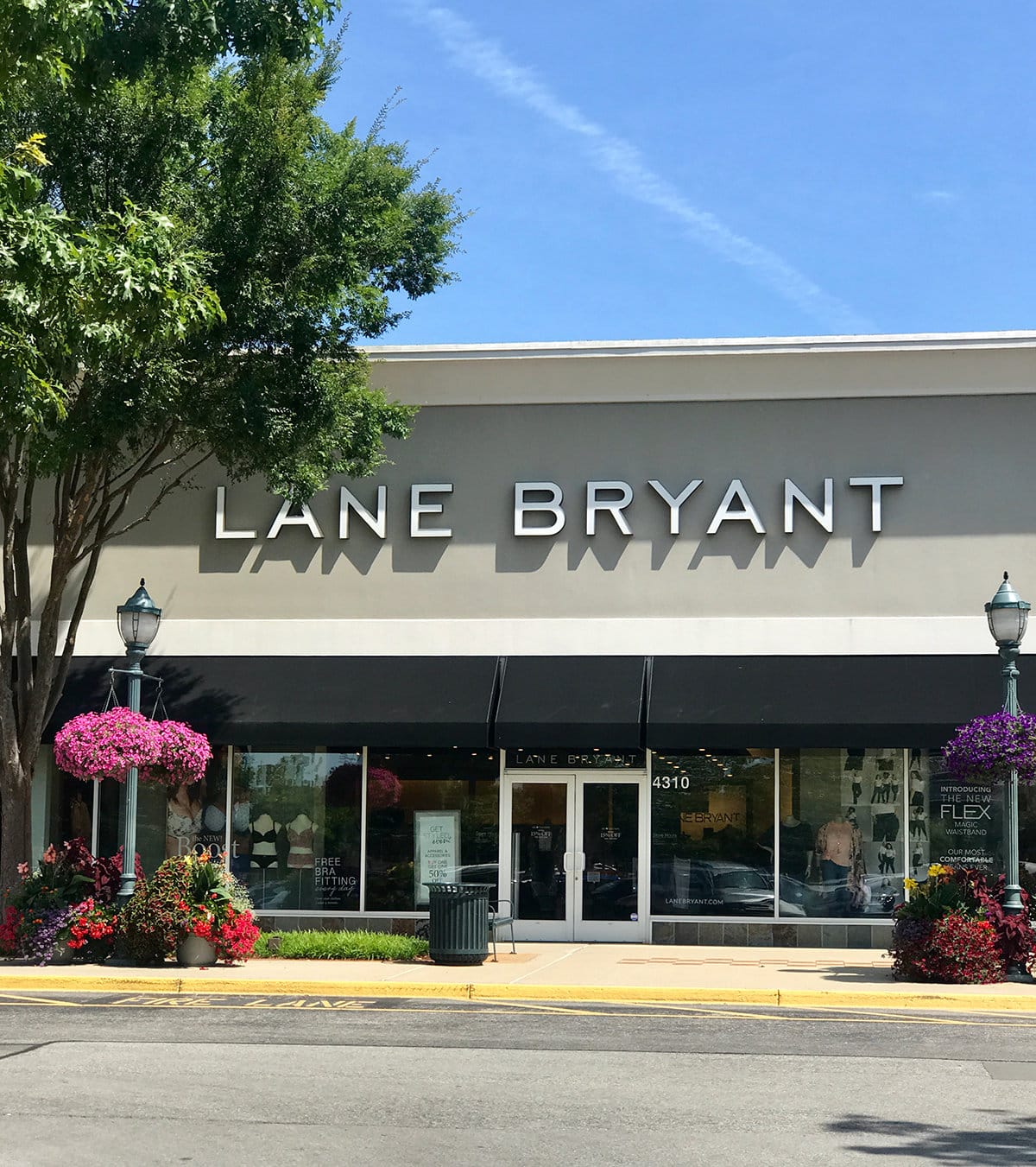 Lane Bryant Flex Magic Waistband Jeans and Event!